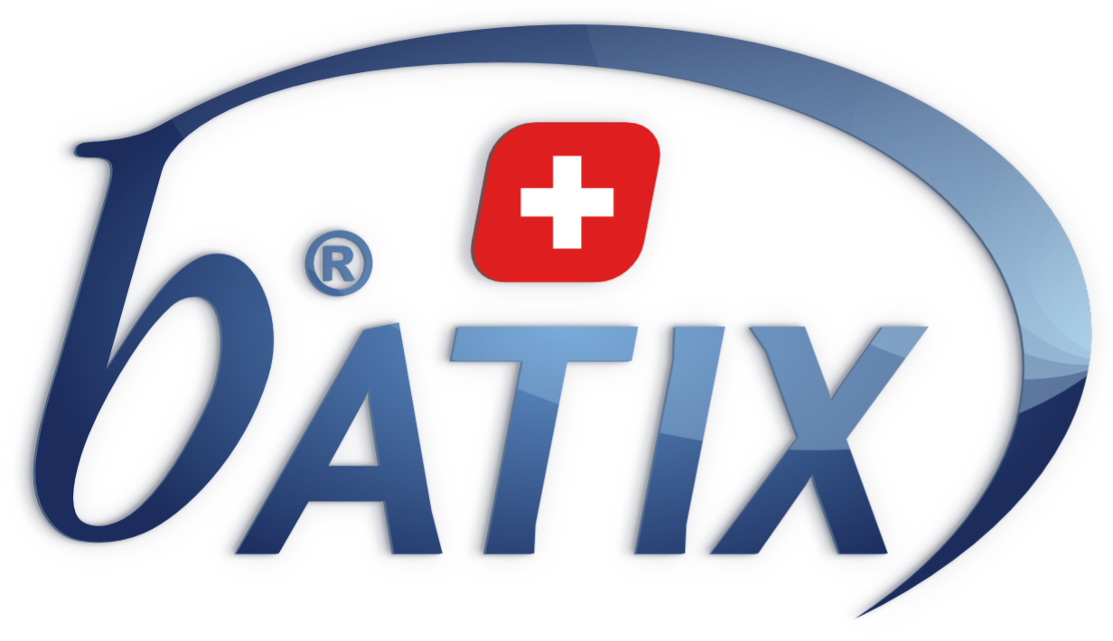 Batix: Software for your Business
